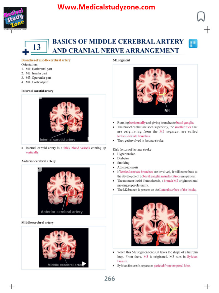 (Medicalstudyzone - Com) Neurology V5 | PDF | Amazon Kindle | Software