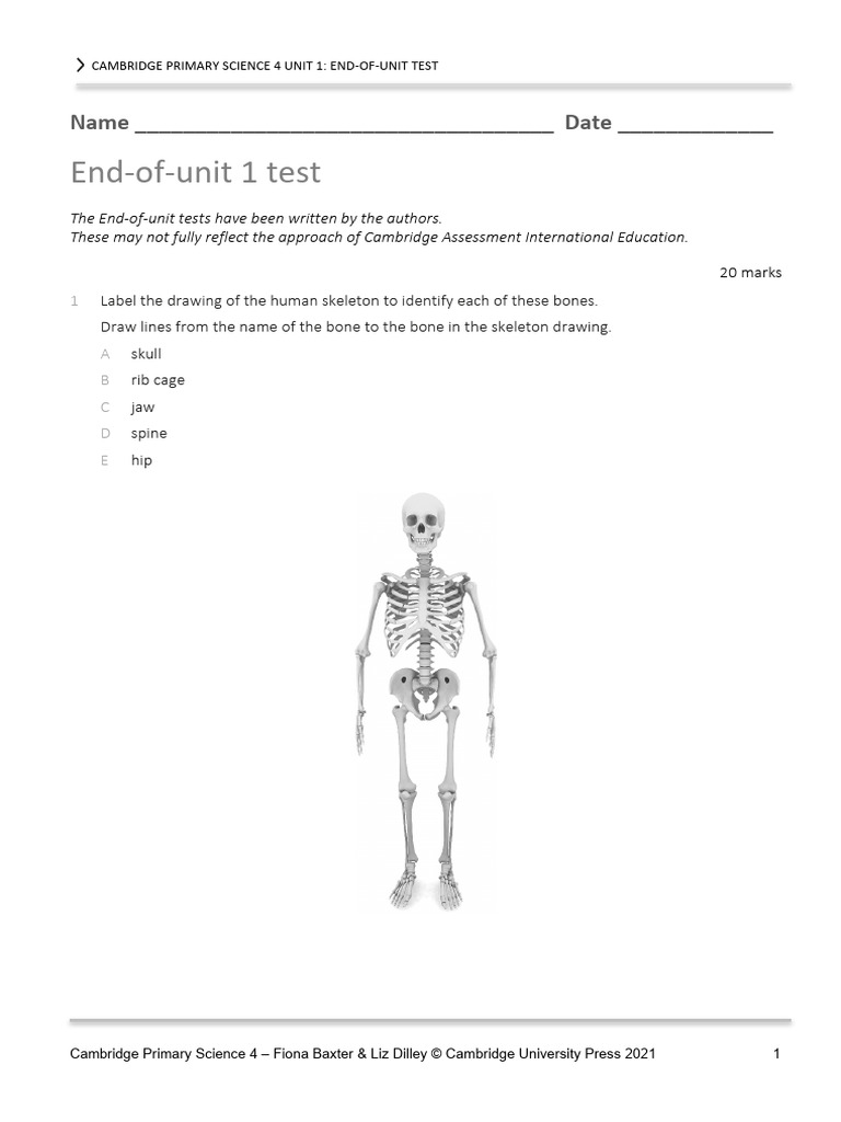 P_Science 4_end-of-unit_1 | PDF | Skeleton | Foot