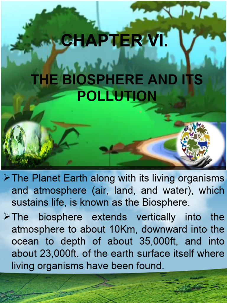 Biosphere Pollution: Types and Effects | PDF | Water Pollution ...