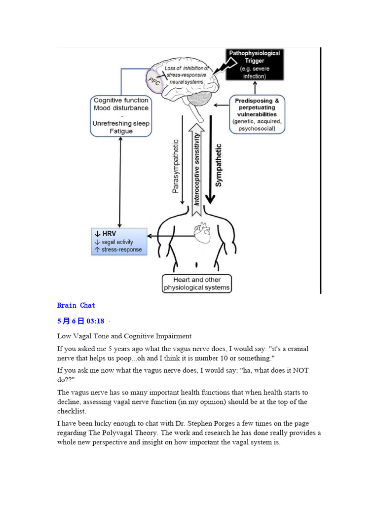Low Vagal Tone's Impact on Cognition | PDF | Vagus Nerve | Psychology
