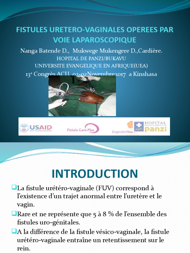 18.présentation Fistule Uretero Harare | PDF | Médecine | Causes de décès