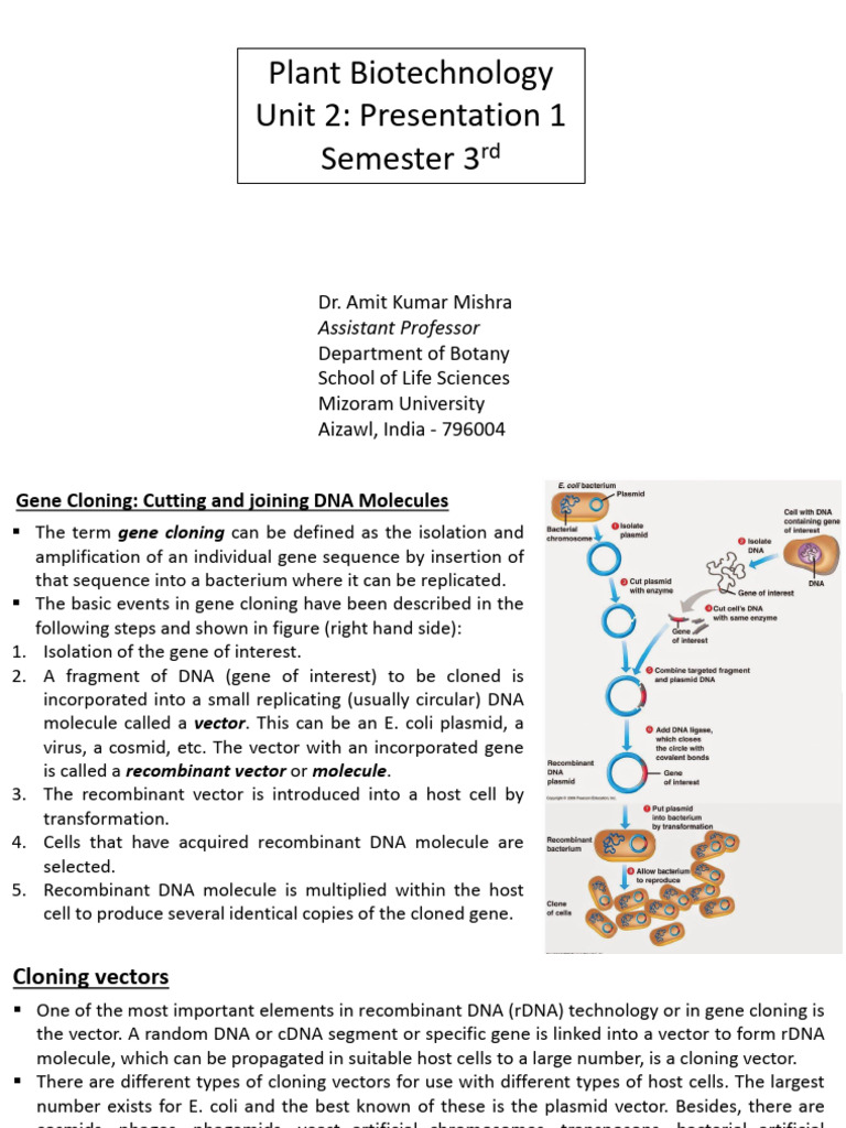 cloning vector | PDF | Plasmid | Molecular Cloning