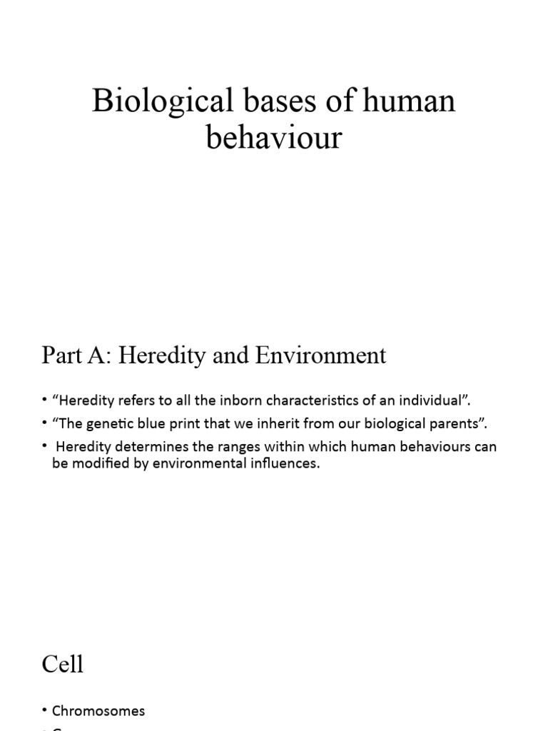 Biological Bases of Human Behaviour | PDF | Axon | Nervous System Biological Bases of Human Behaviour | PDF | Axon | Nervous System