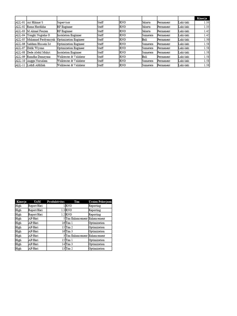 Raw Data Karyawan Dashboard | PDF | Microsoft Excel | Information Management
