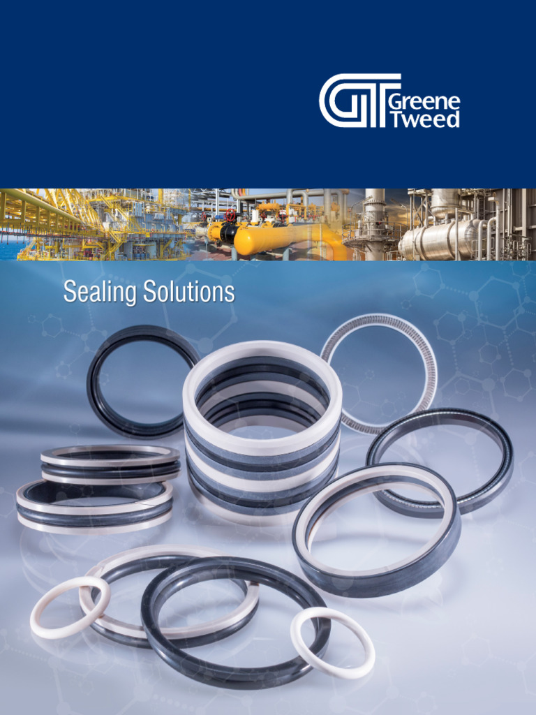 GT - Sealing Solutions Energy | PDF | Friction | Pump