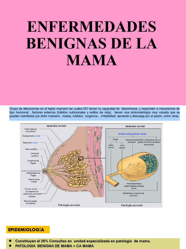 Enf Benignas de La Mama | PDF | Cáncer de mama | Pecho