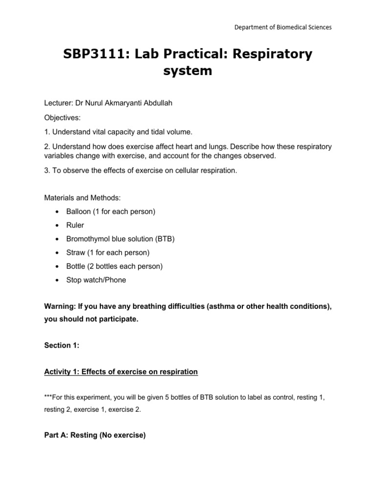 Respiratory System Lab Practical Guide | PDF | Breathing | Exhalation