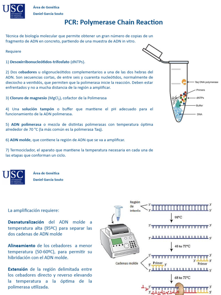 Prã¡Ctica I PCR Gii-1 | PDF | Reacción en cadena de la polimerasa ...