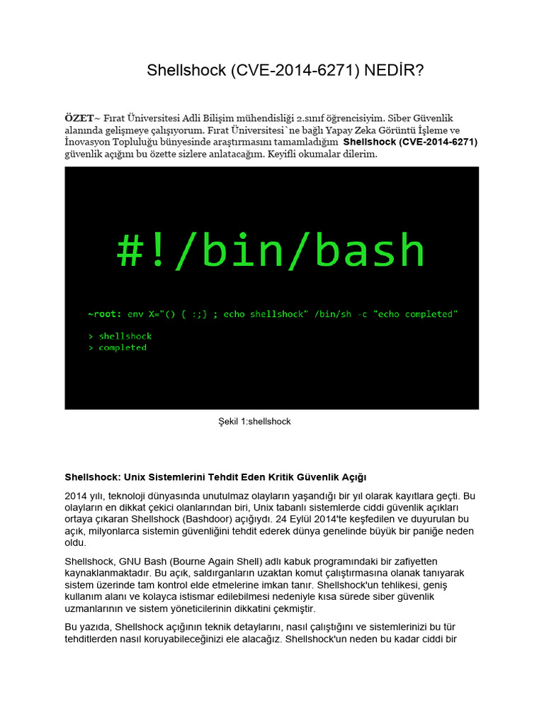 Shellshock | PDF