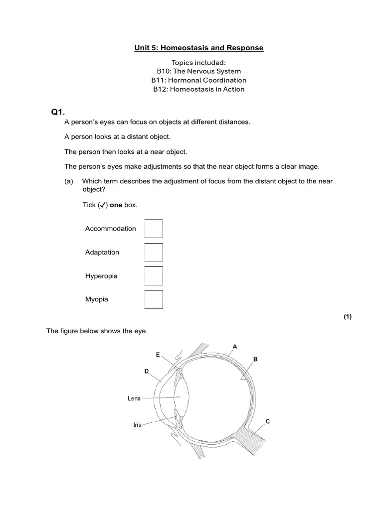 Unit 5 Homeostasis and Response (Year10) | PDF | Kidney | Menstrual Cycle