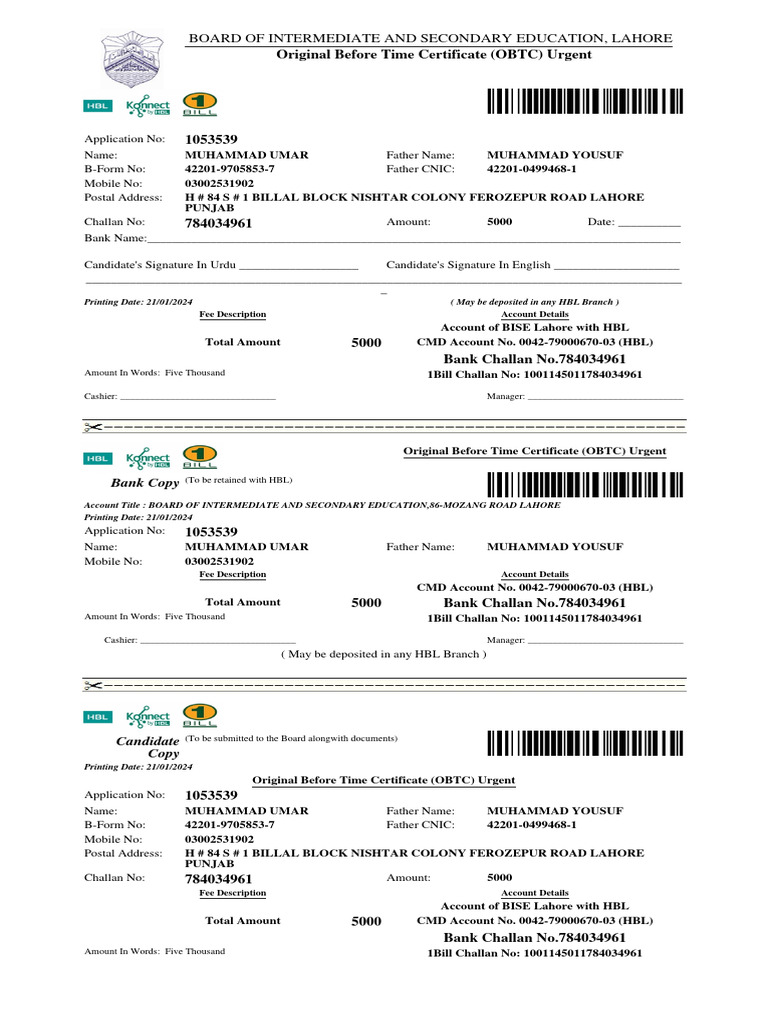 Challan Certificate | PDF | Service Industries