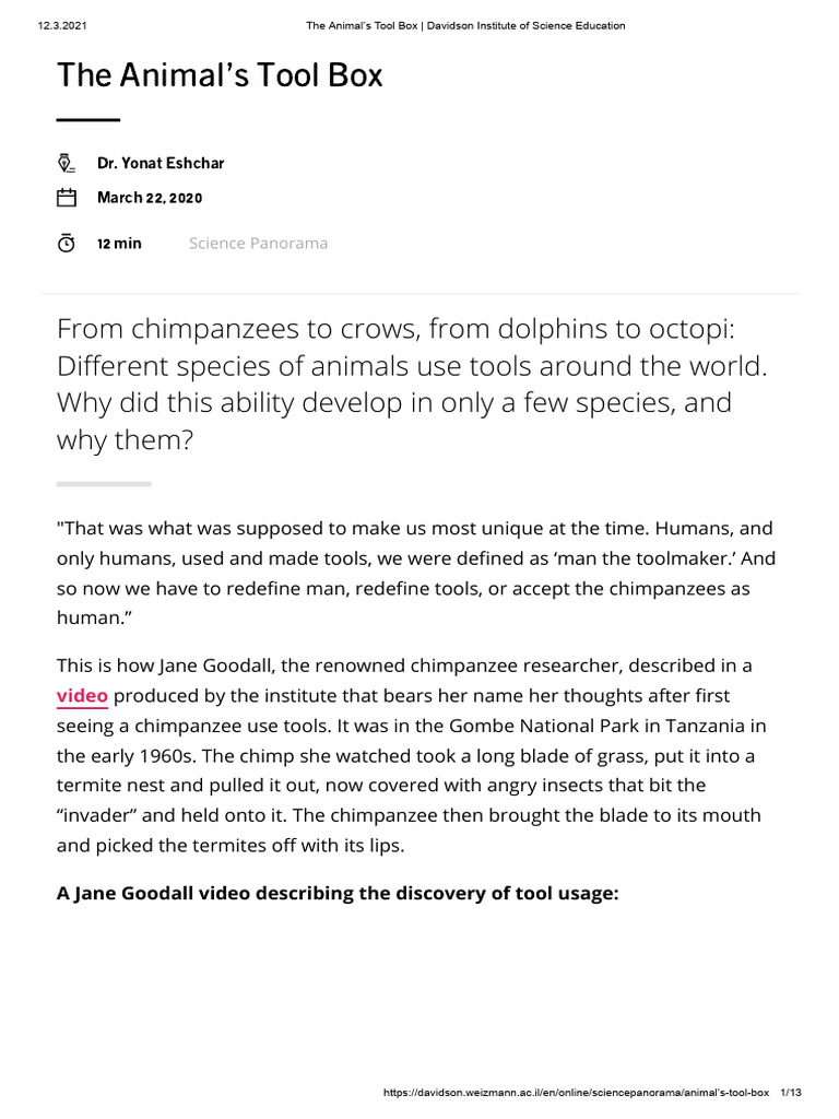Animal Tool Use: Insights and Examples | PDF | Tools | Chimpanzee