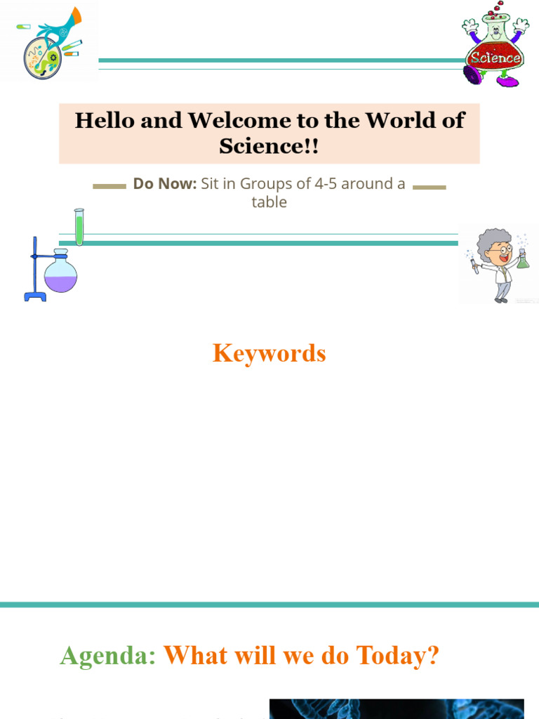 Introduction to Science Class Activities | PDF | Leaf | Plants