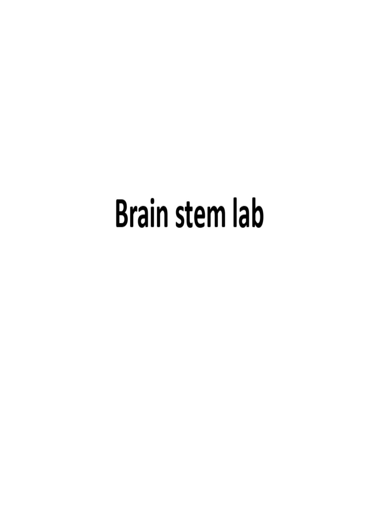 Ain Stem Lab | PDF | Brainstem | Neuroscience