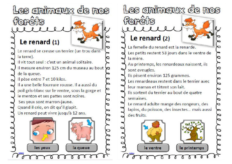 Activité 2 Fiche Documentaire 1 Le Renard | PDF