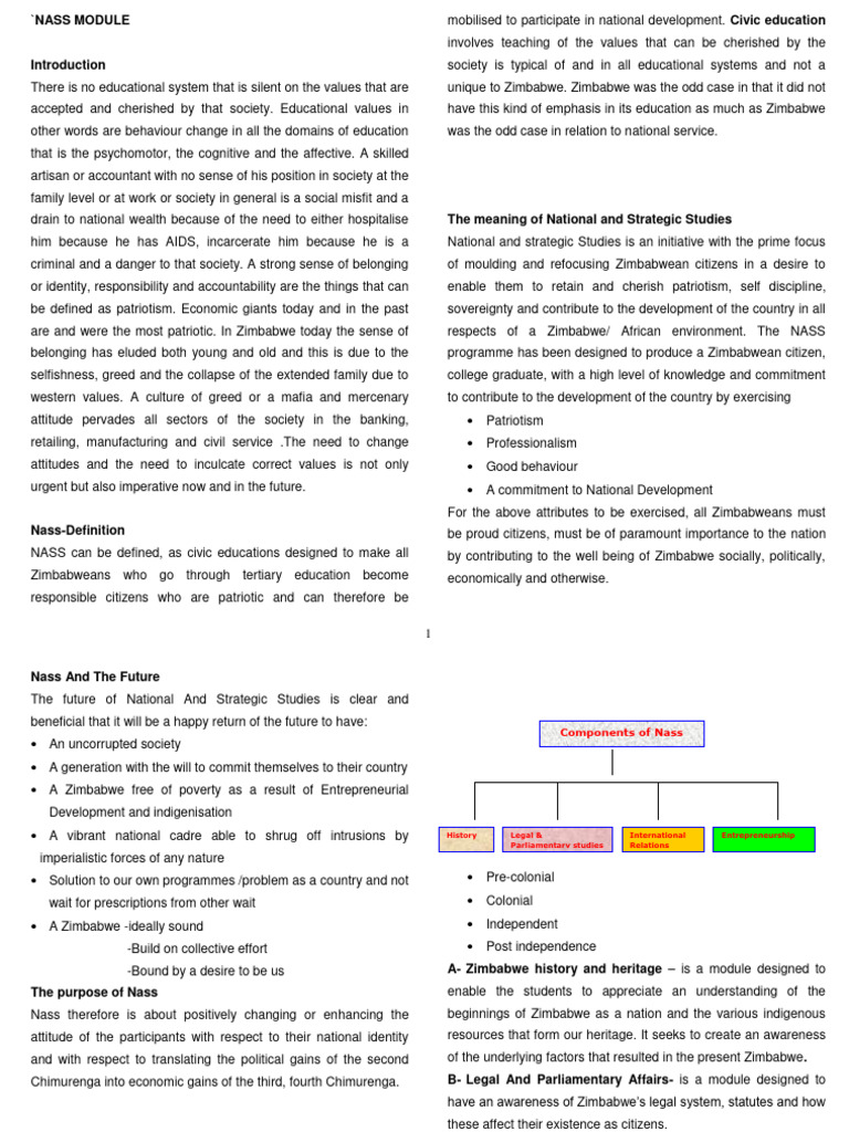 Nass & Esd Modules | PDF