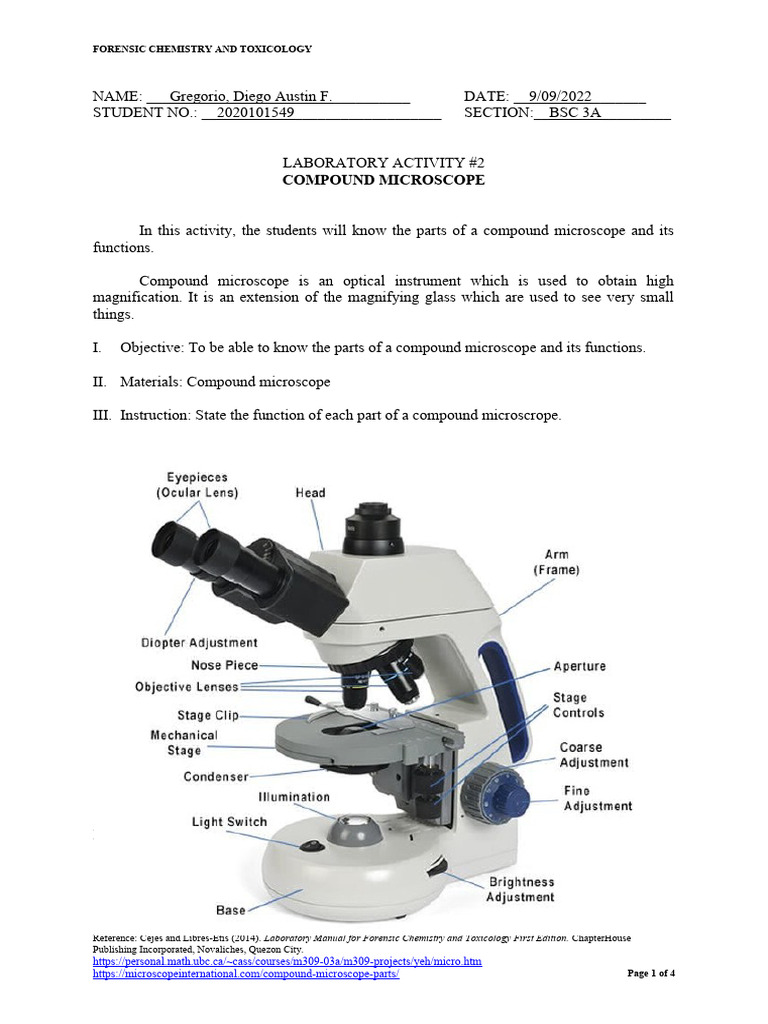 Laboratory Activity _2 - Compound Microscope | Download Free PDF ...