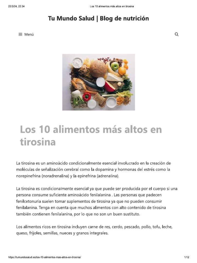 Alimentos Alto en Tirosina | PDF