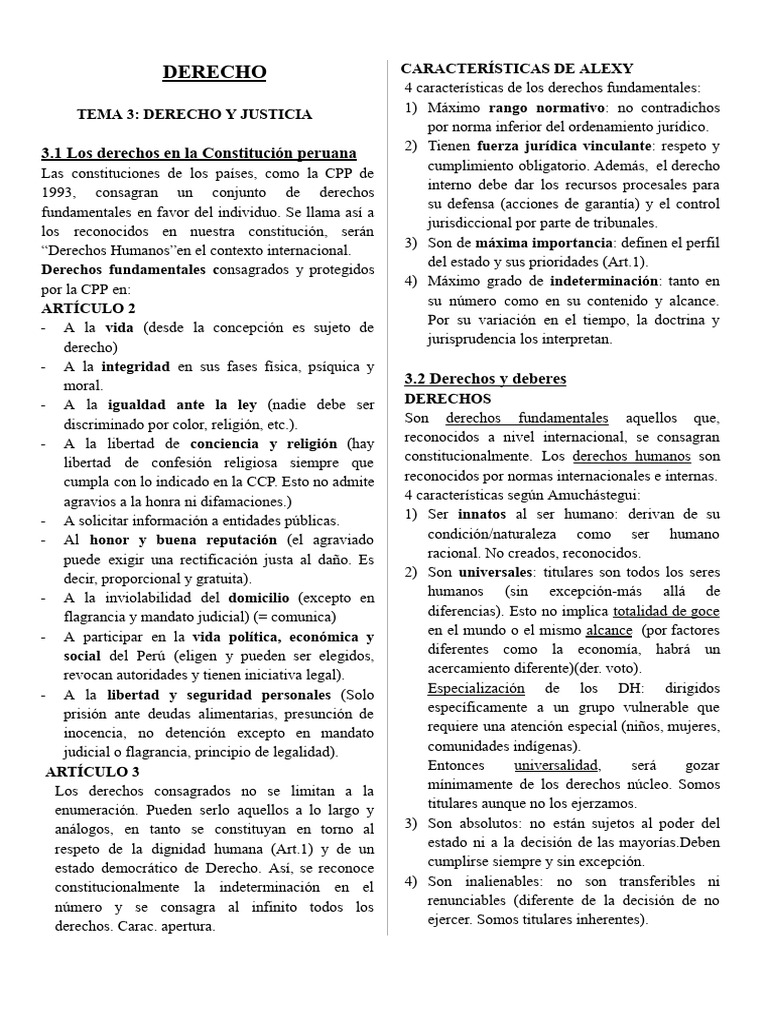 Derechos Fundamentales en la CPP Perú | PDF | Derecho Constitucional ...