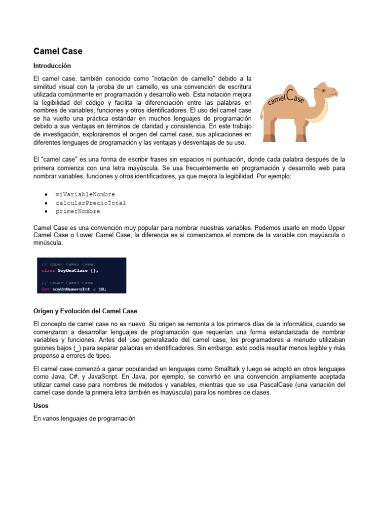 Came Case | PDF | Lenguaje de programación | Programación de computadoras