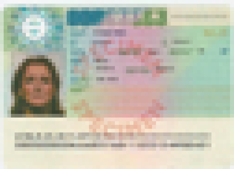 Visa Simple Europ | PDF