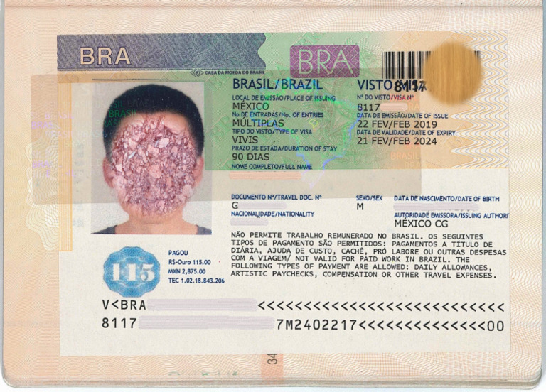 Brazil Visa | PDF