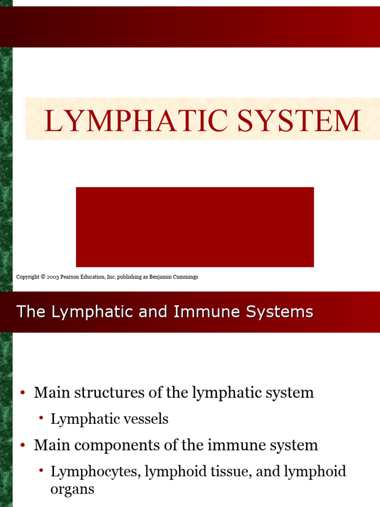Lymphatic System | PDF | Lymphatic System | Lymph