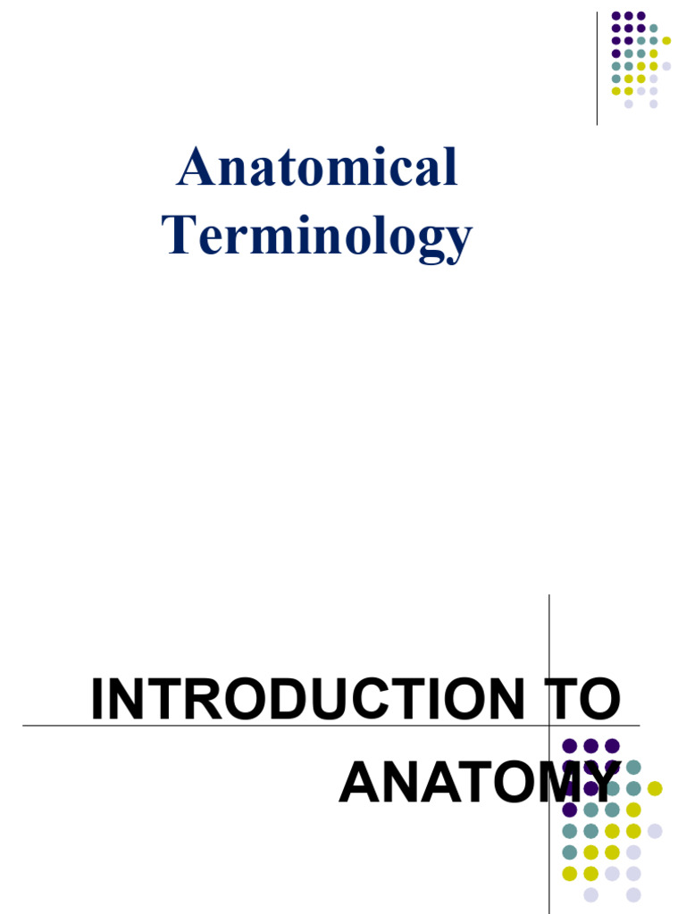 Anatomy Basics for Students | PDF | Anatomical Terms Of Motion ...