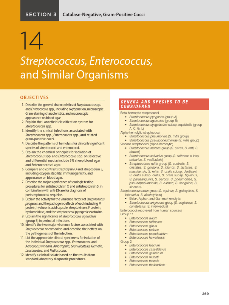 Section 3, Strep | PDF | Streptococcus | Prokaryote