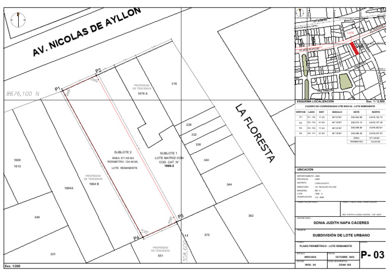 04_Lote remanente | PDF | Geofísica | Geodesia