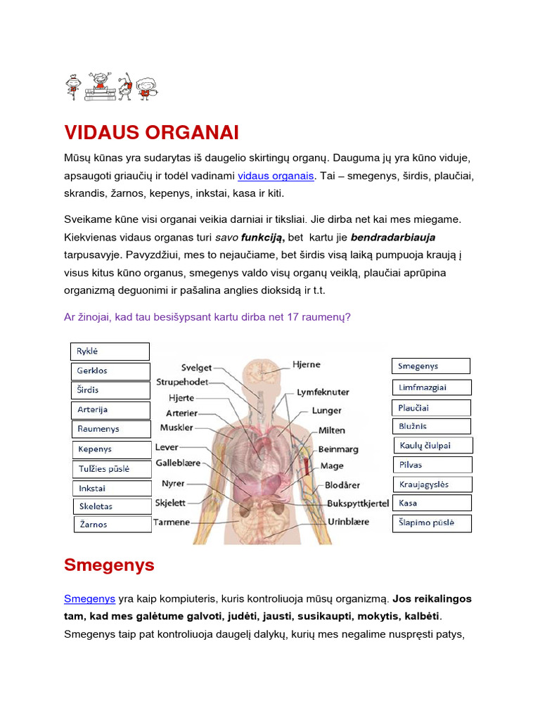 Kroppens Organer - På LT Til Eleven | PDF