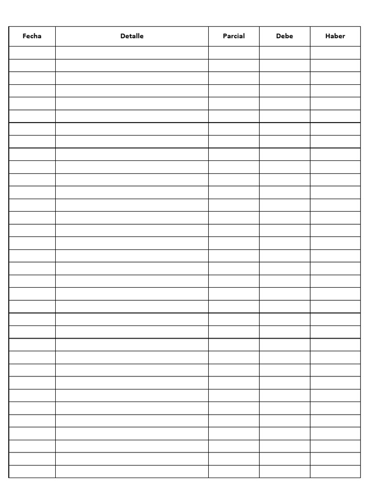 Formato Libro Diario | PDF