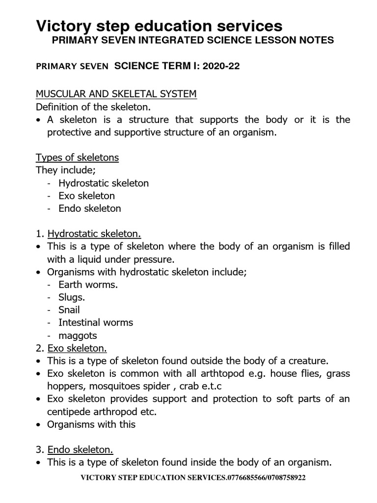 P7 Science: Muscles & Skeletons | PDF | Skeleton | Muscle