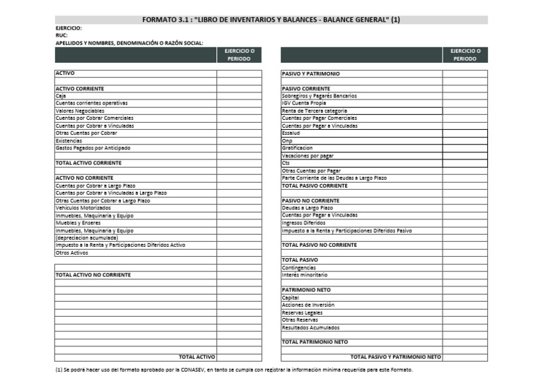 Formato Balance General | PDF | Hoja de balance | Valor neto