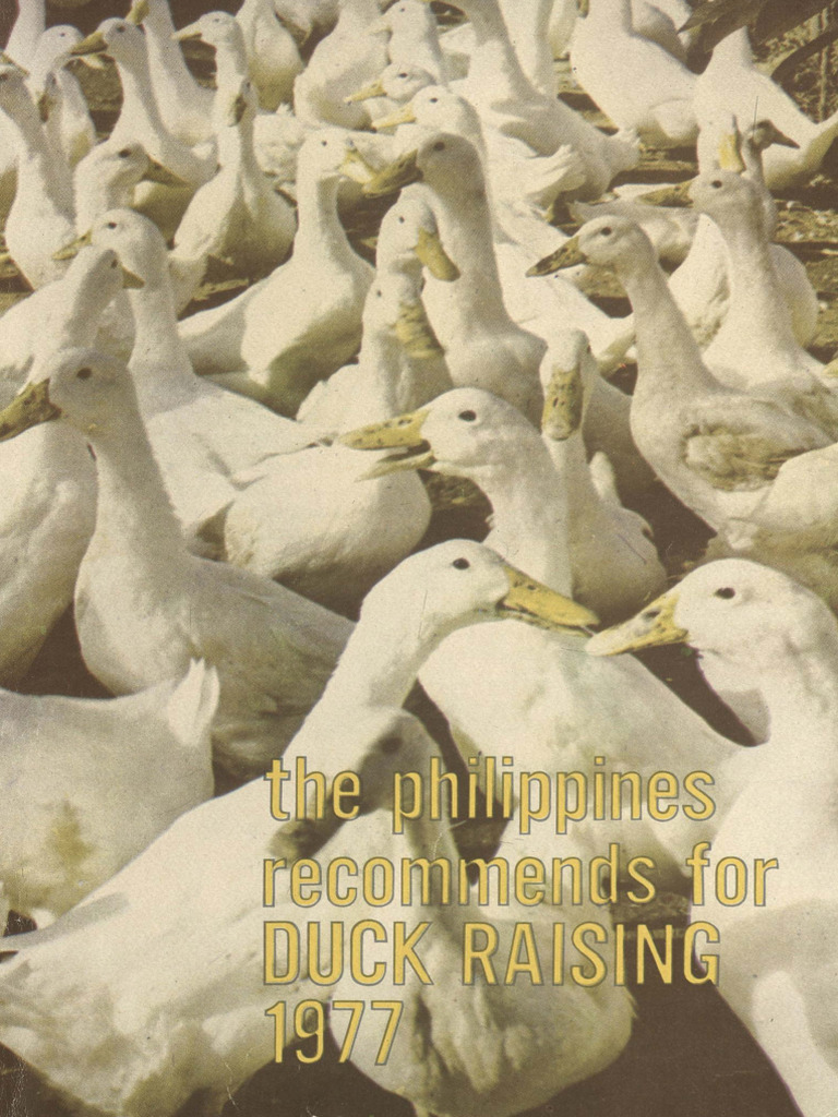 DUCK | PDF