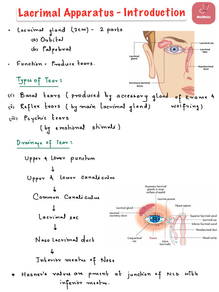 Lacrimal Apparatus - Introduction | PDF | Sensory Organs | Facial Features
