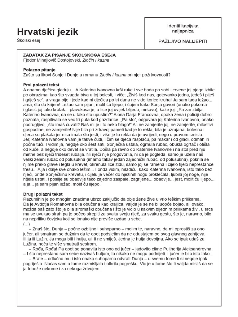 Esejski Zadatak | PDF