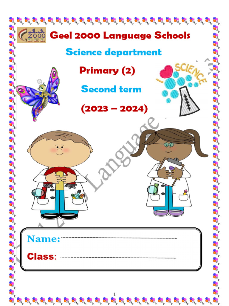 Primary 2 Science: Second Term Notes | PDF