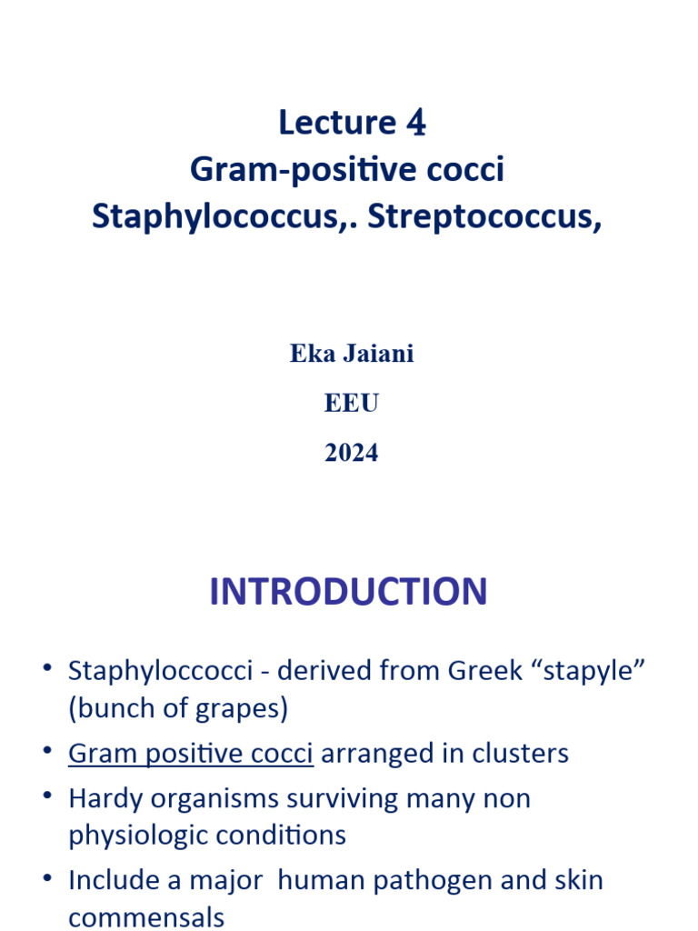 4 Gram + Cocci Staphylococci, Streptococci | PDF | Streptococcus | Staphylococcus