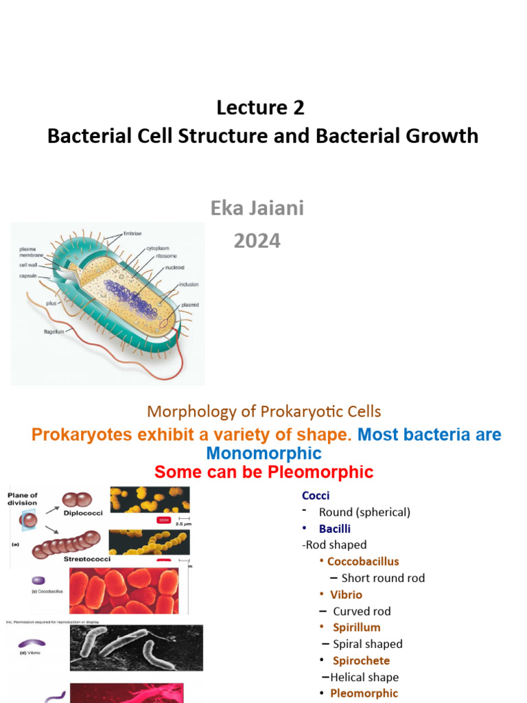 2 The Bacterial Cell Structure and Bacterial Growth | PDF | Bacteria ...