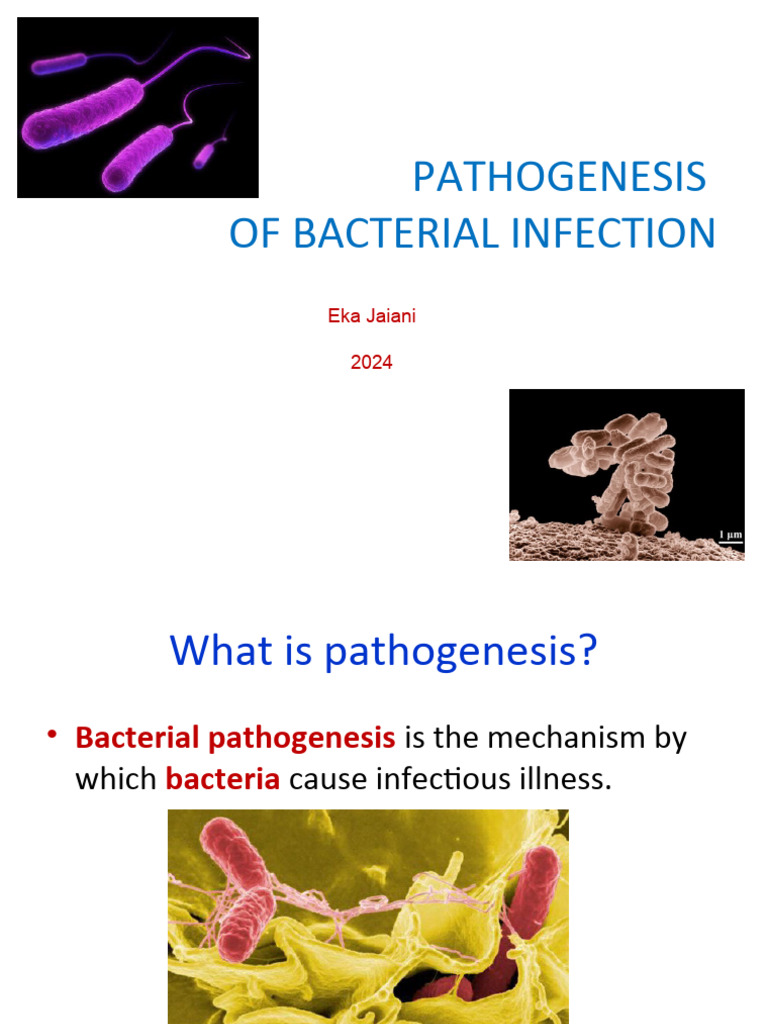3 Bacterial Pathogenesis and Antimicrobial Chemotherapy | PDF ...