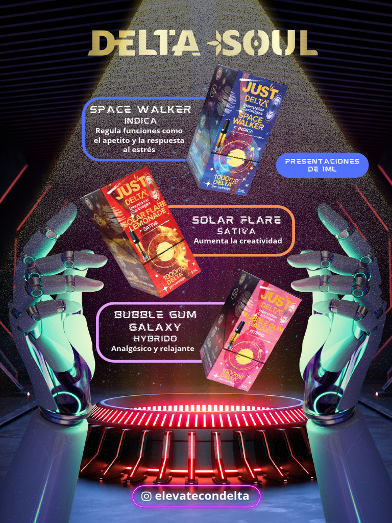 DELTA SOUL-FLYER (3) | PDF