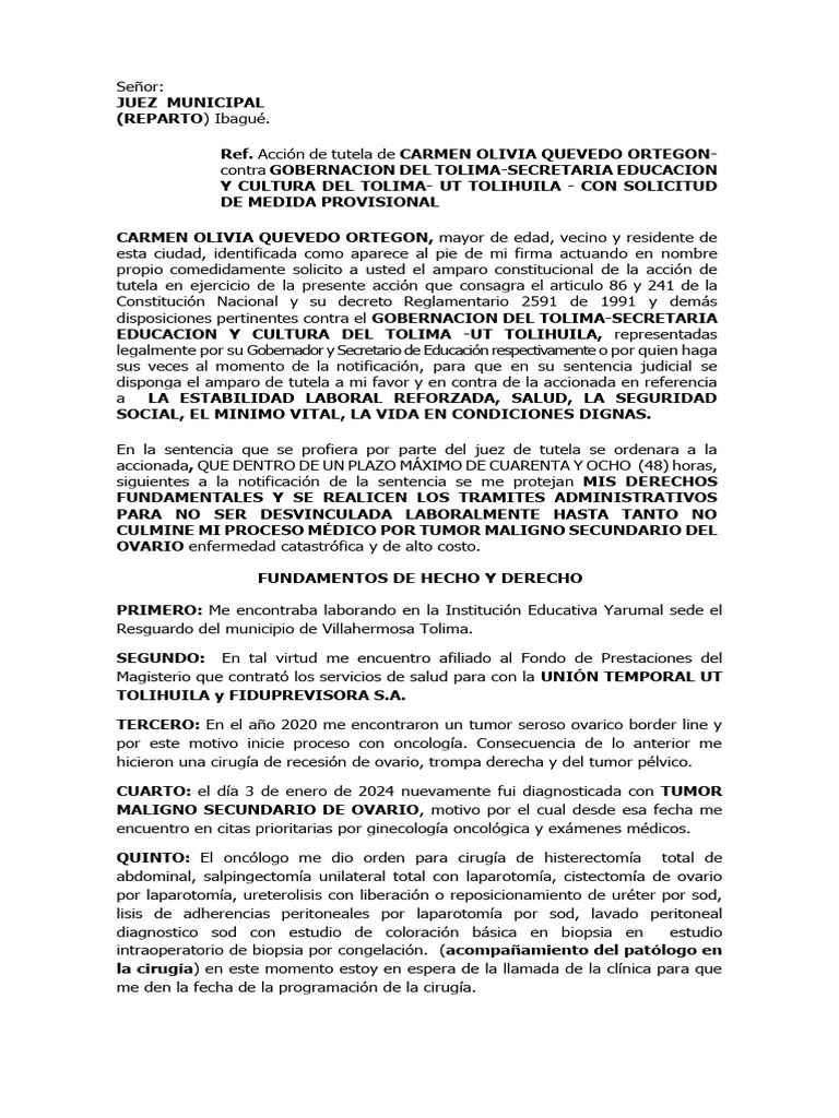 Acción de Tutela Radicación 73 001 31 03 004 2024 00052 02 Accionante ...
