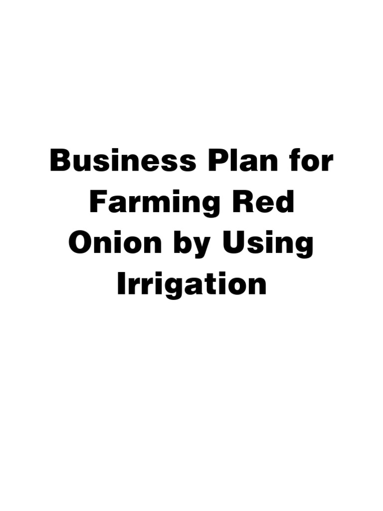 Business Plan For Farming Red Onion by Using Irrigation | PDF ...