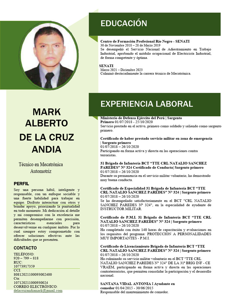 CV Mark Editablec | PDF | Sargento | Seguridad nacional