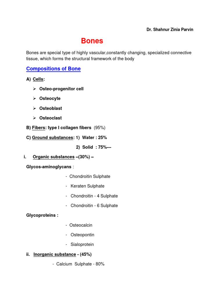 Bones Nursing 2024 | PDF | Bone | Bone Marrow