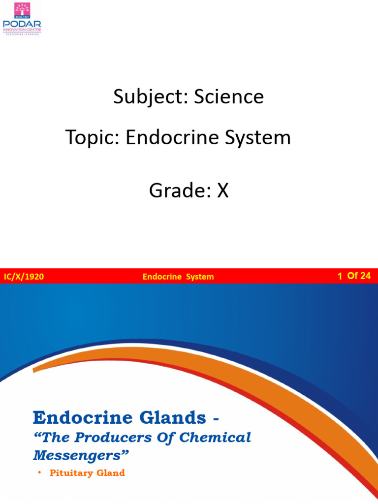 Overview of the Endocrine System | PDF | Luteinizing Hormone ...