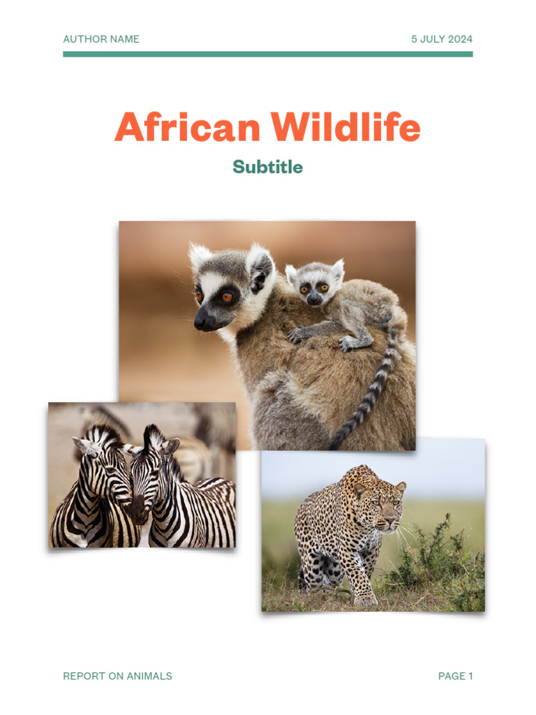 African Wildlife Report Overview | PDF | Career & Growth