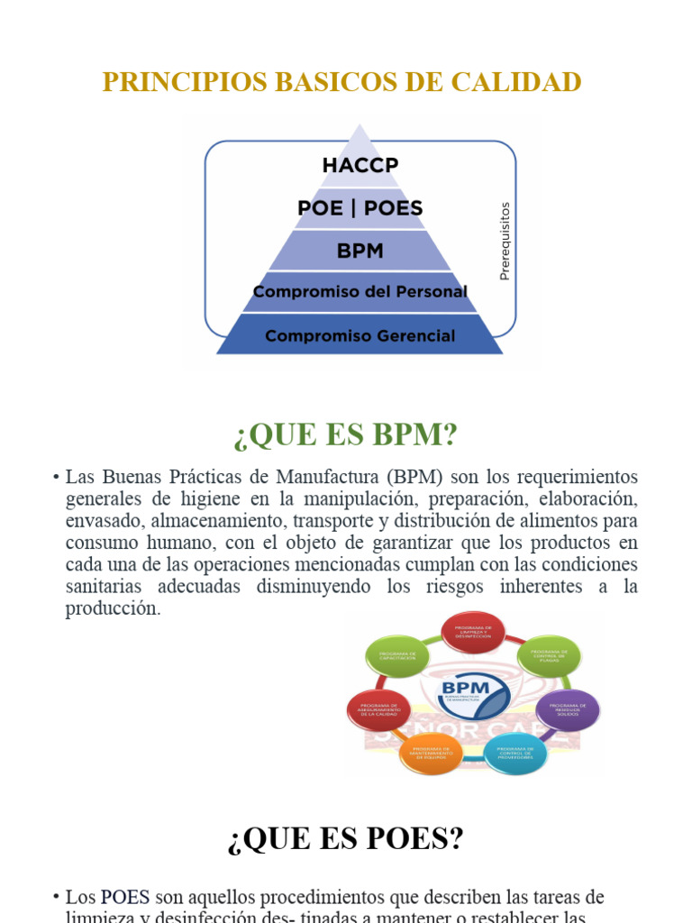 Principios Basicos de Calidad - Ing Bryan Cerna | PDF | Análisis de Riesgo y Puntos Críticos de ...