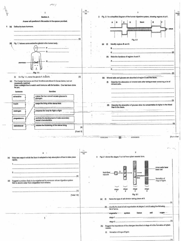 Biology Paper 3 2012 | PDF